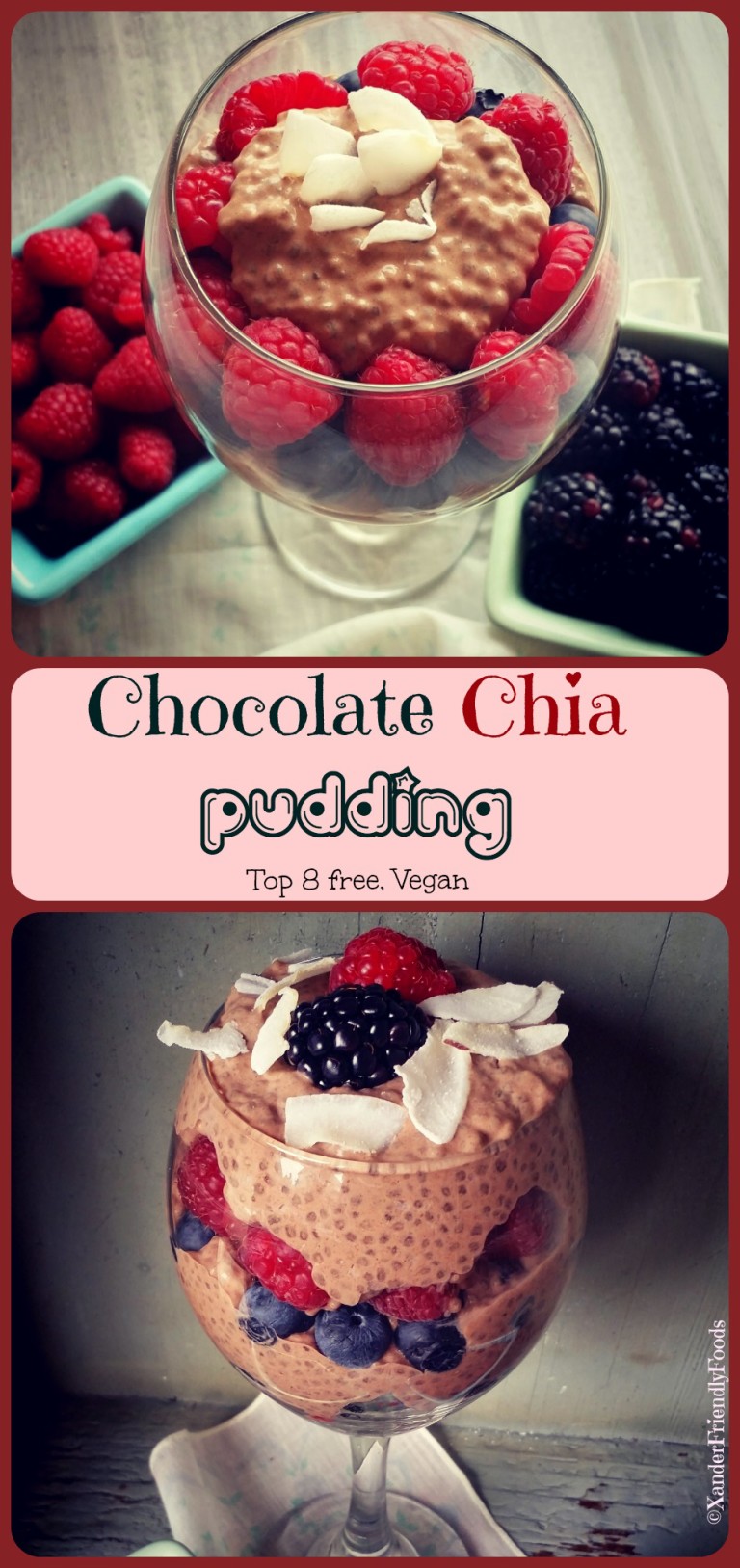 Chocolate Chia Pudding - Allergylicious