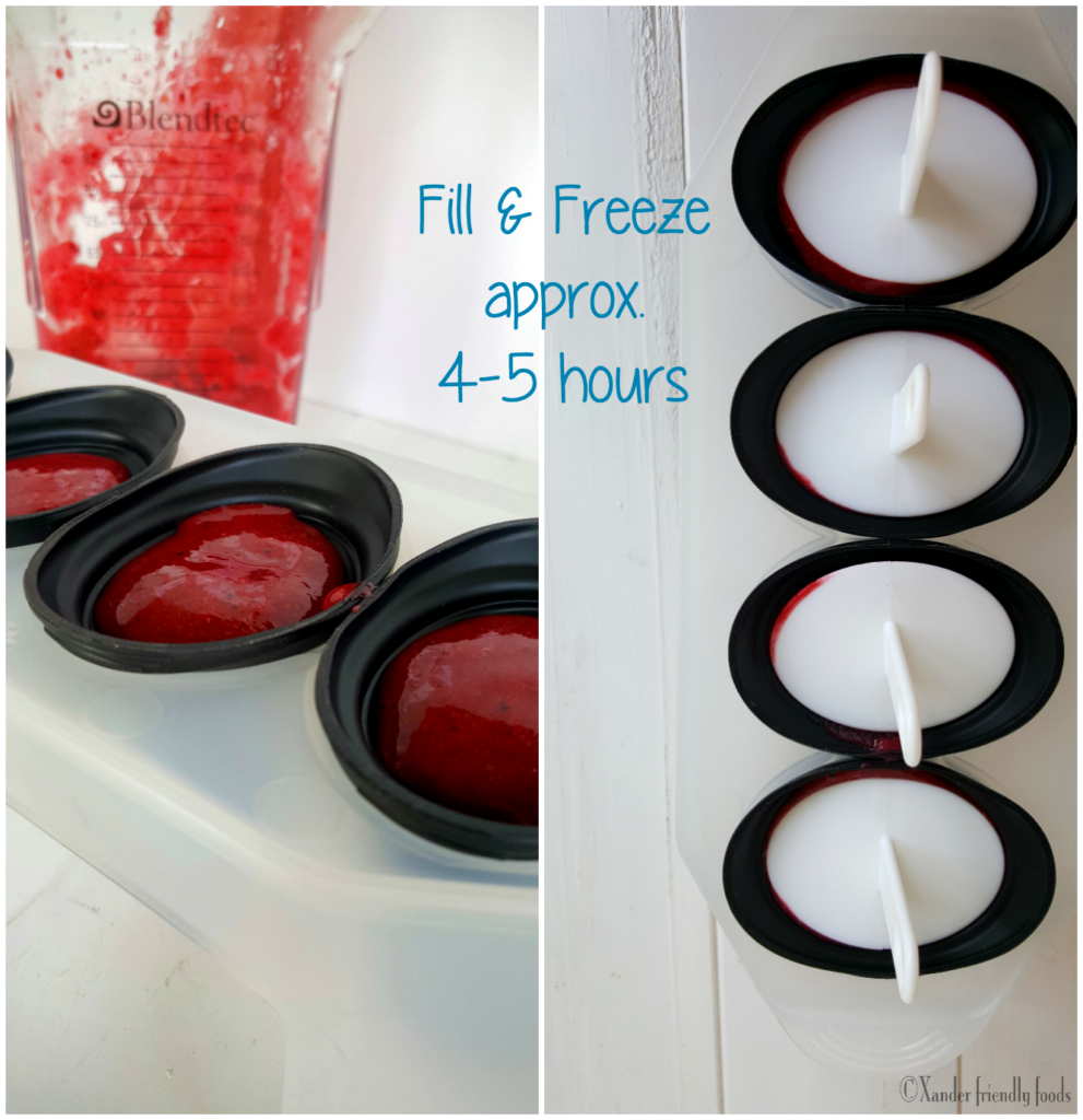 Berry Popsicles - Allergylicious