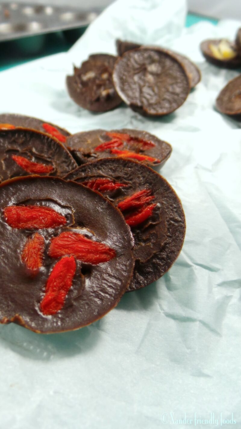 Healthy Homemade Chocolate Coins - Allergylicious