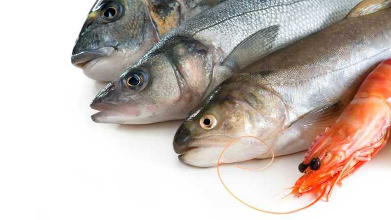 Fish & Shellfish Allergy 101 - Allergylicious