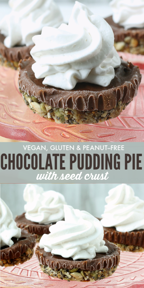 Chocolate Pudding Pie with Seed Crust · Allergylicious