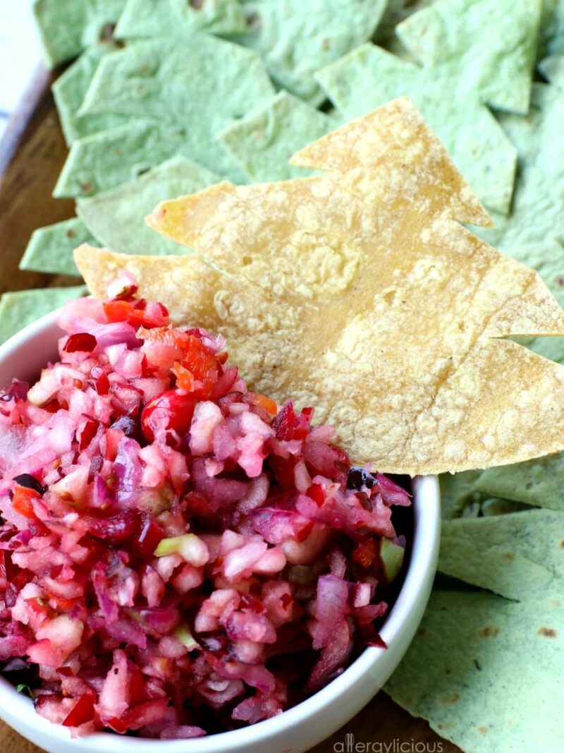 Cranberry Salsa with Tree Chips - Allergylicious
