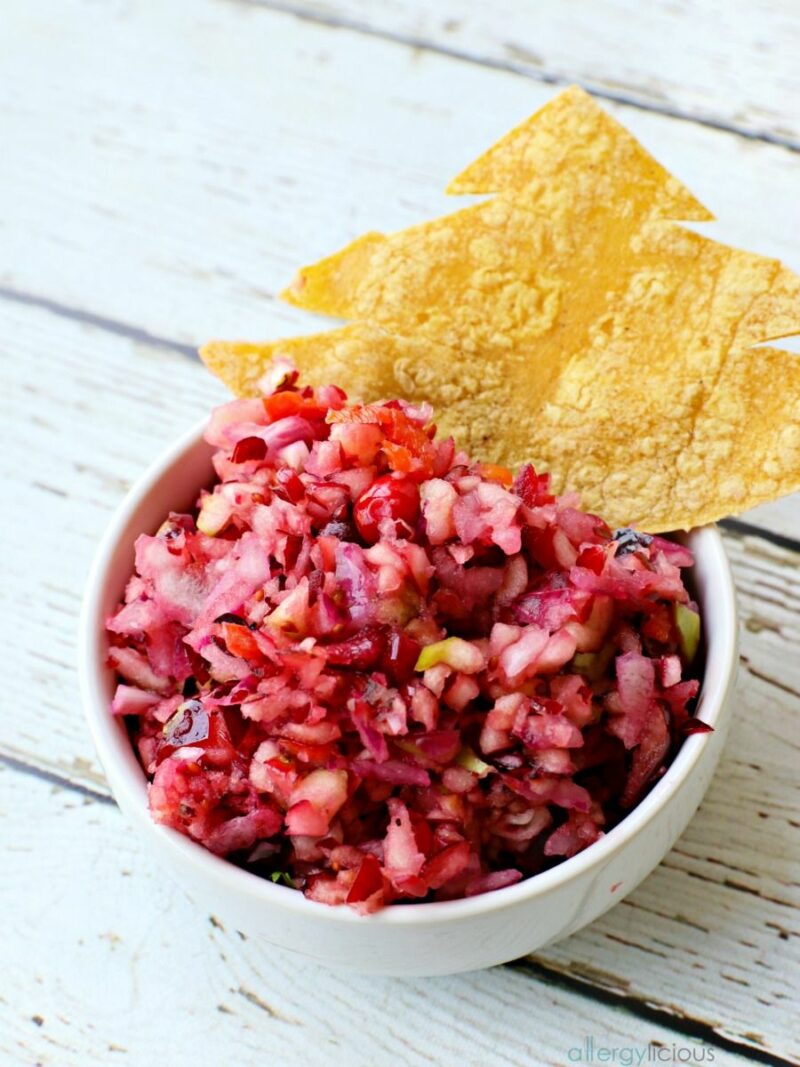 Cranberry Salsa with Tree Chips - Allergylicious