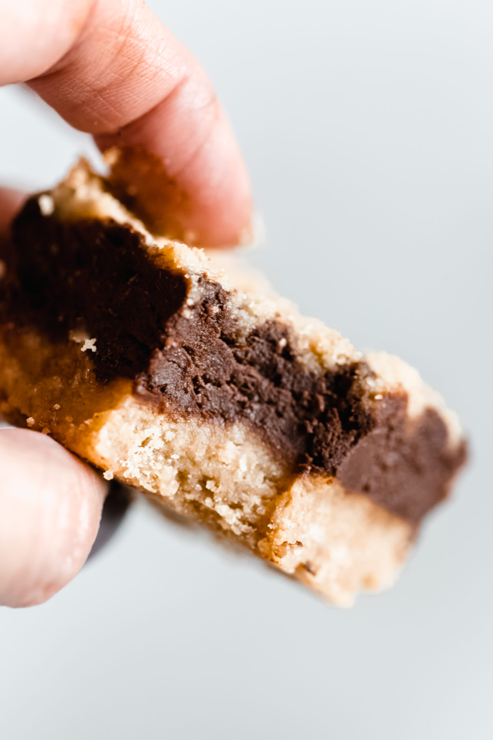 The Best Vegan Fudge Bars with Shortbread Crust - Allergylicious