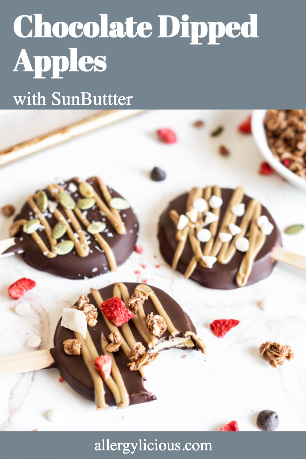The Best Chocolate Dipped Apples with SunButter - Allergylicious